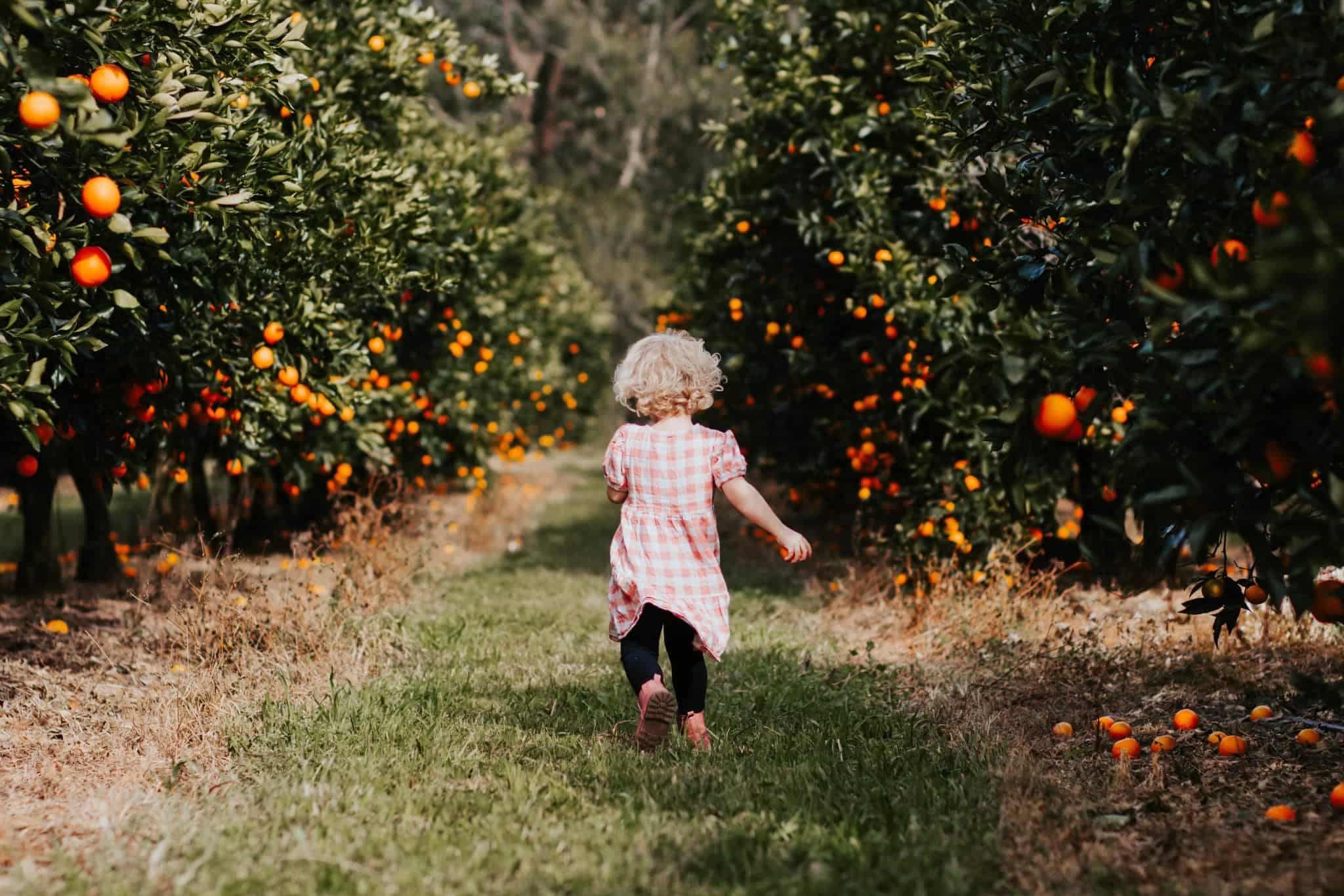 Visit Meliora Farm – Meliora Farm